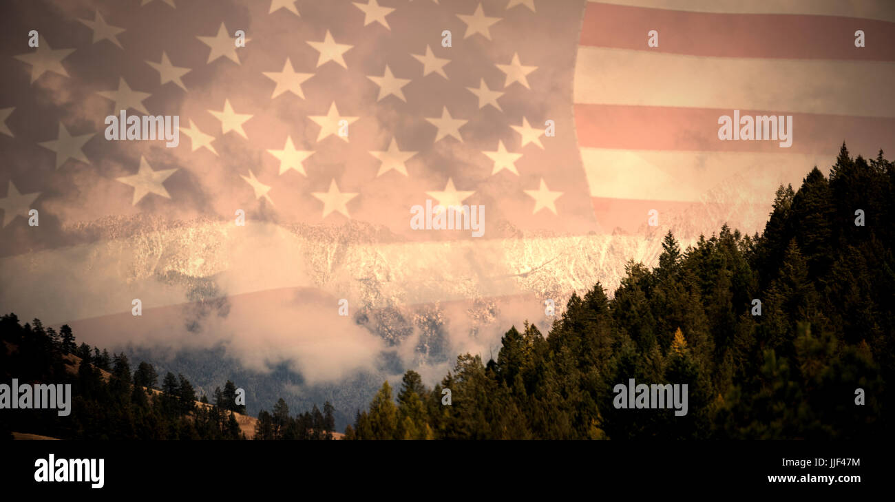 United states of america flag against pine trees in forest Stock Photo ...