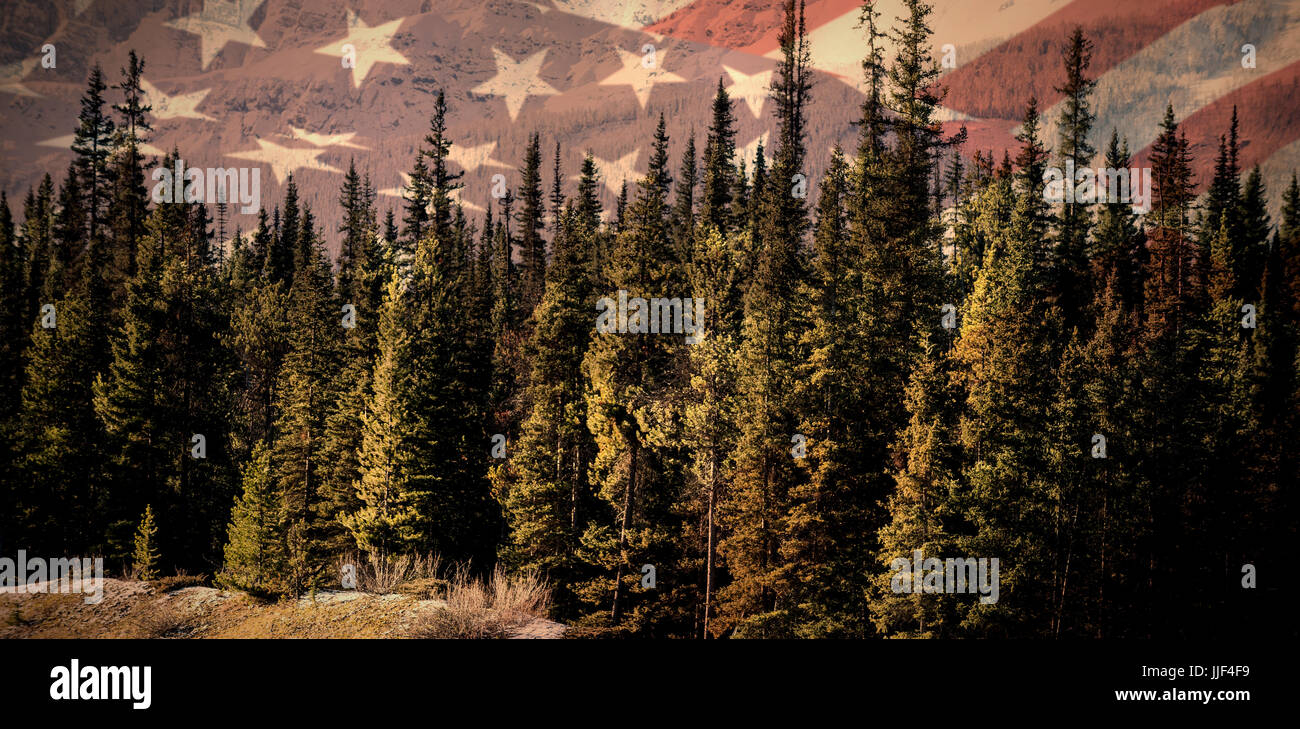 Close up of the us flag against pine trees in forest Stock Photo - Alamy