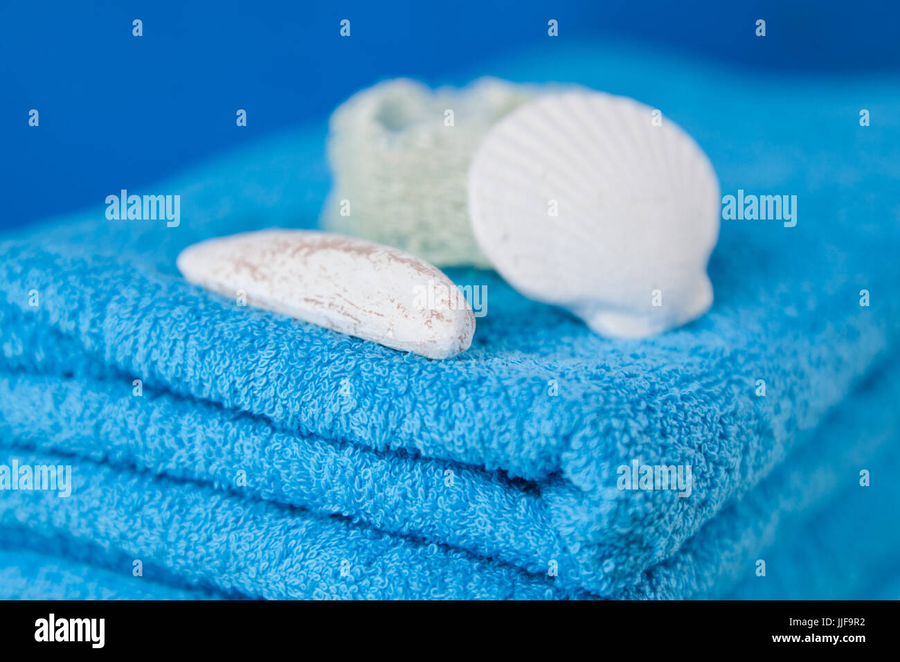 Folded shell hi-res stock photography and images - Alamy