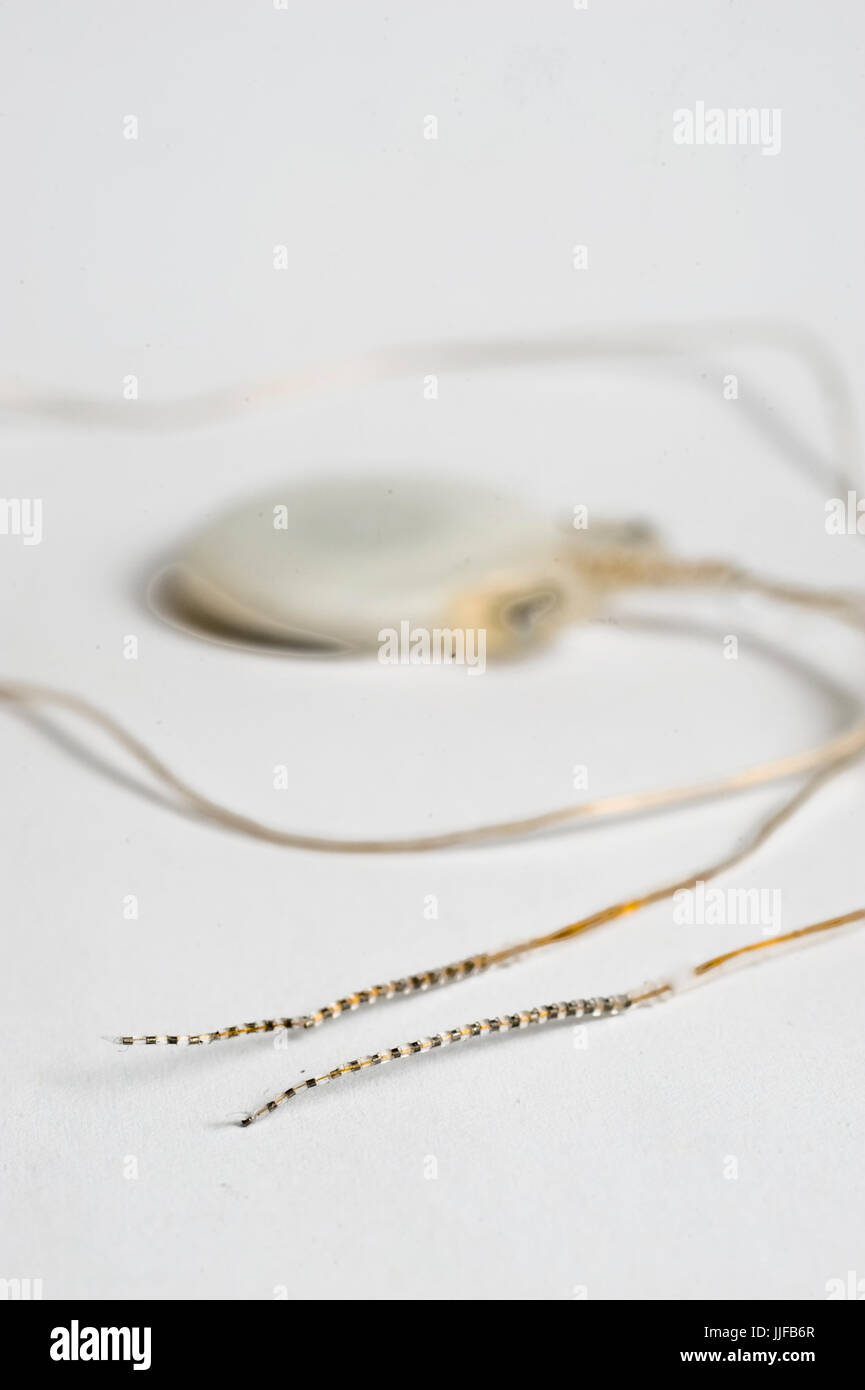 Cochlear implant electrodes hi-res stock photography and images - Alamy