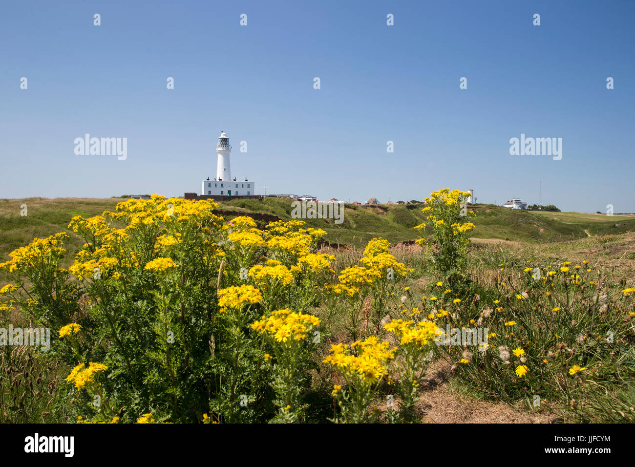 Flamborough Head lighthouse on the East Yorkshire coast Stock Photo - Alamy