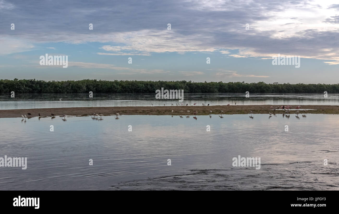 J n darling national wildlife refuge hi-res stock photography and ...