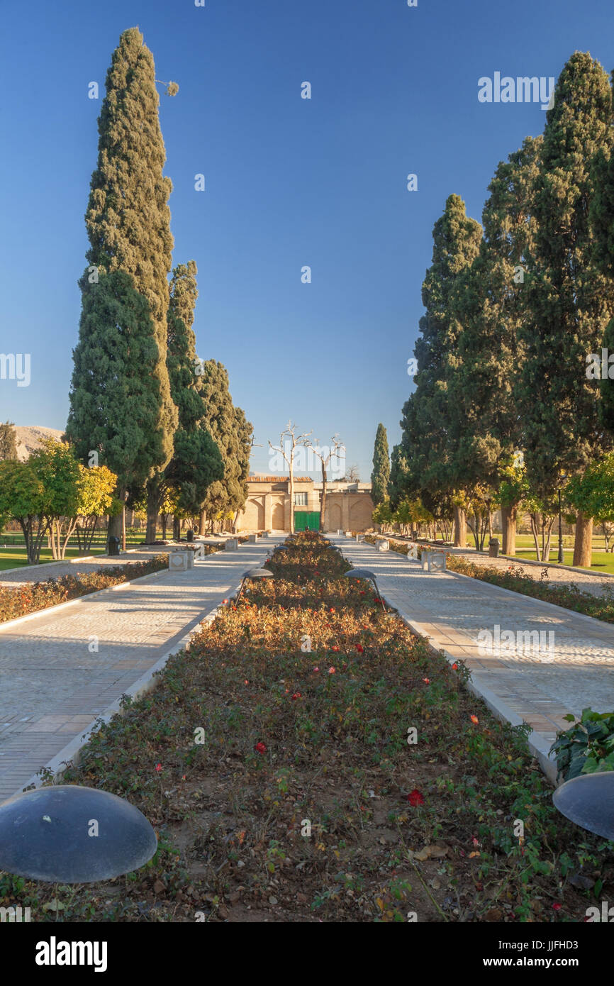 Old tree in Jahan-nama garden, Shiraz Stock Photo - Alamy