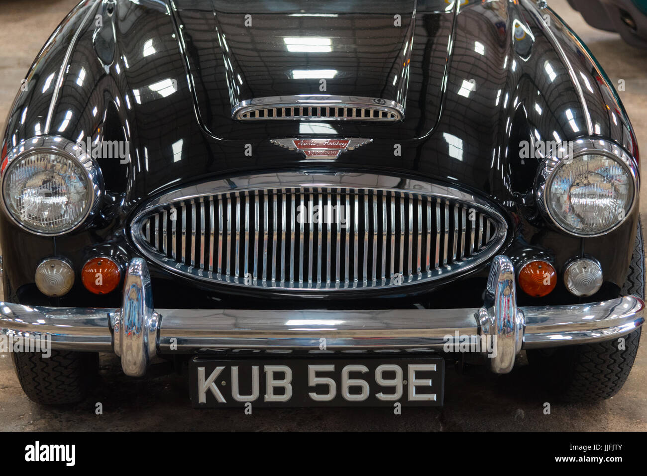 Healey car logo hi-res stock photography and images - Alamy