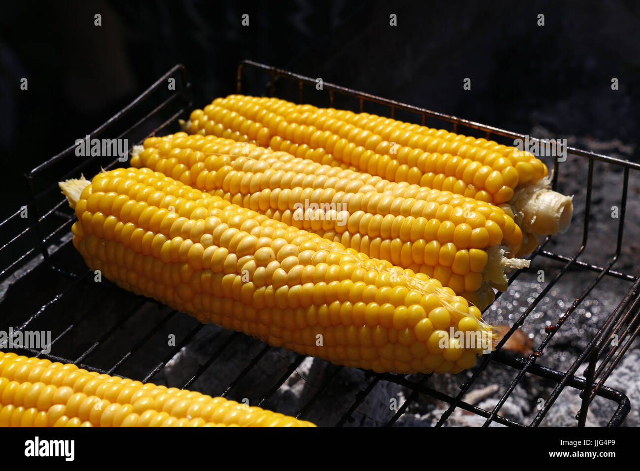 Cooking several fresh boiled yellow corn cobs on open air barbecue ...