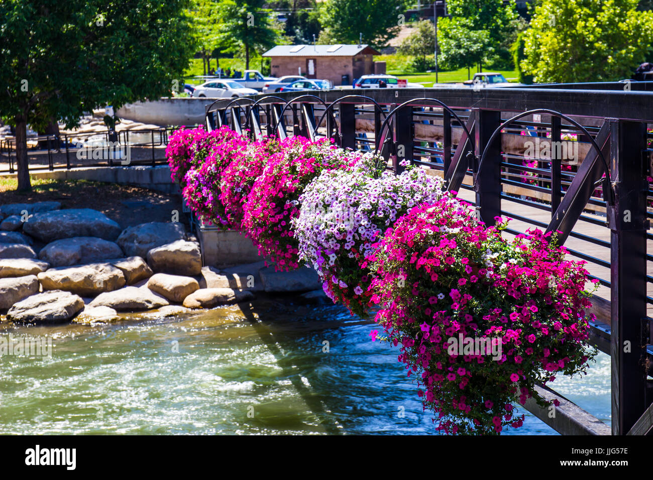 Walking bridge colorful flowers hi-res stock photography and images - Alamy