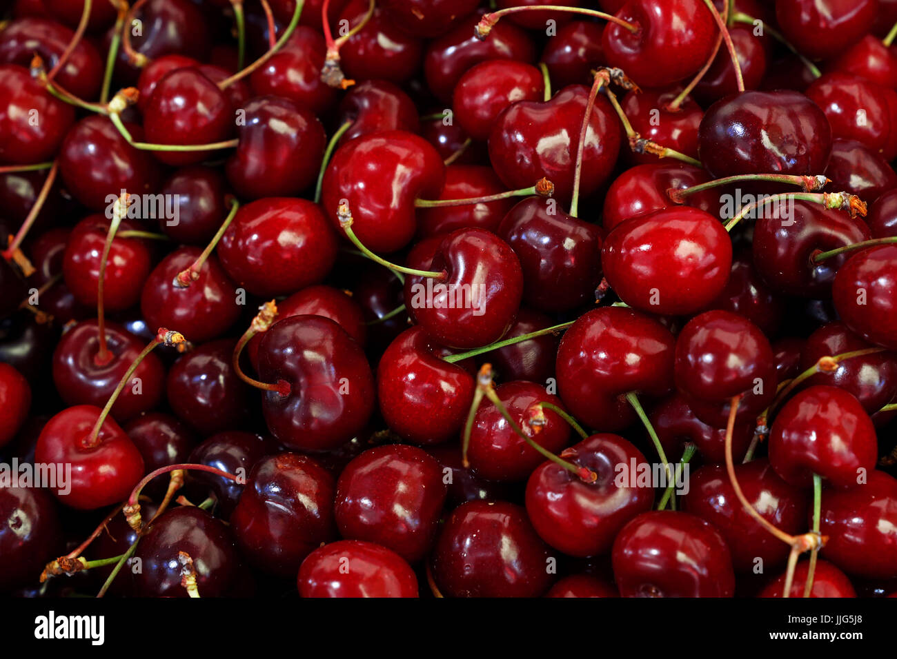 Heap of fresh red ripe sweet black cherry berries on retail market ...