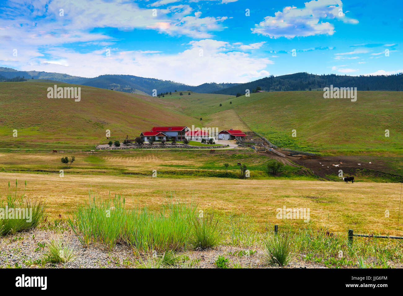 Homestead - Montana Stock Photo - Alamy