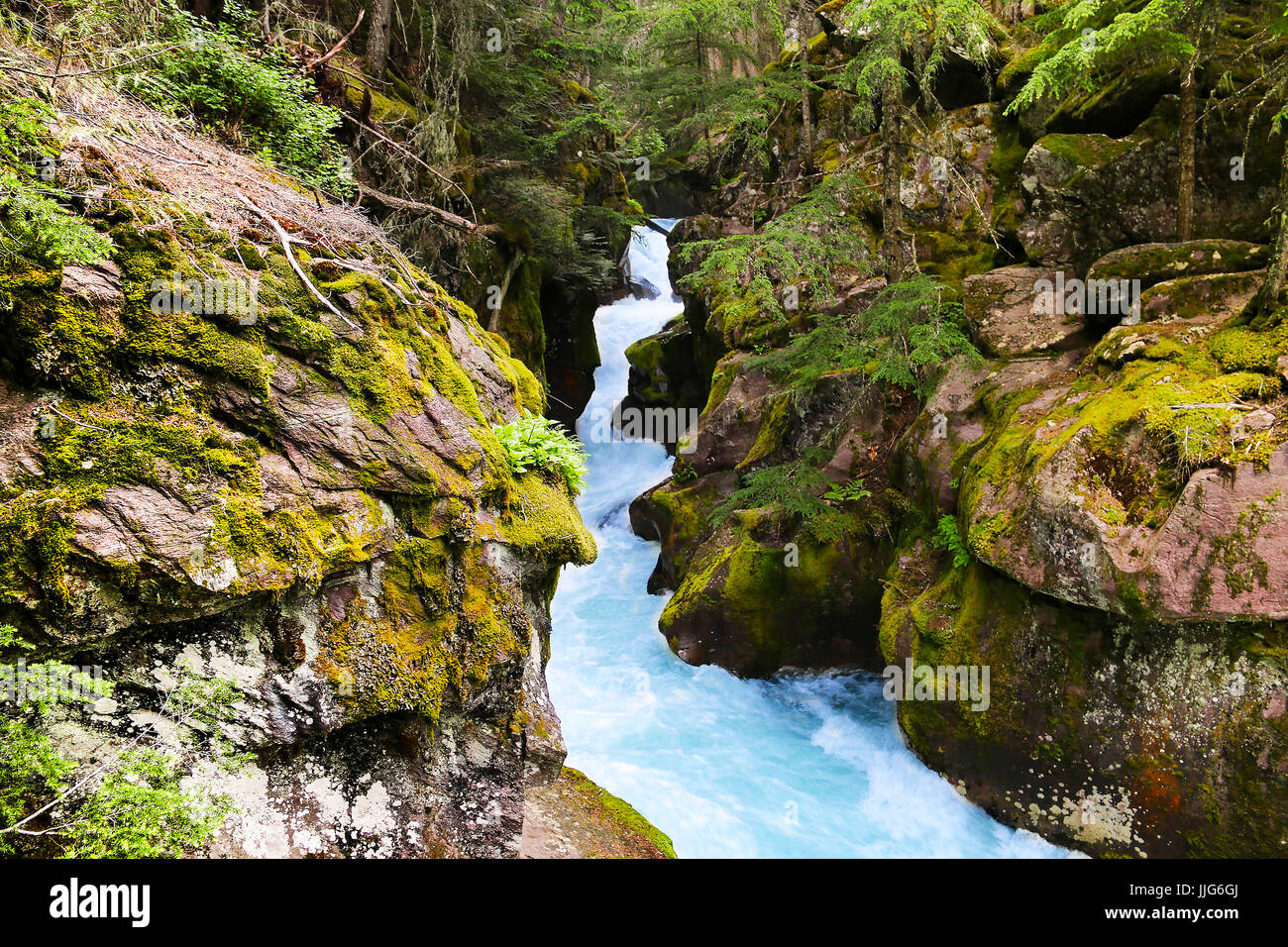 Montana Stream - Glacier NP Stock Photo - Alamy