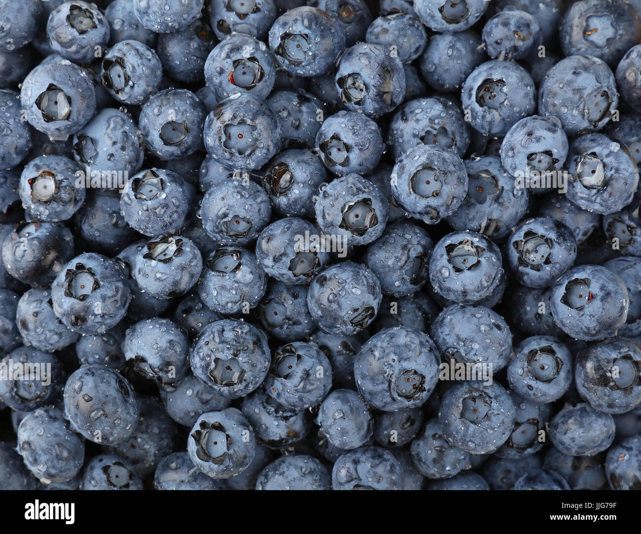 Background pattern of fresh washed blueberry berries wet with water ...