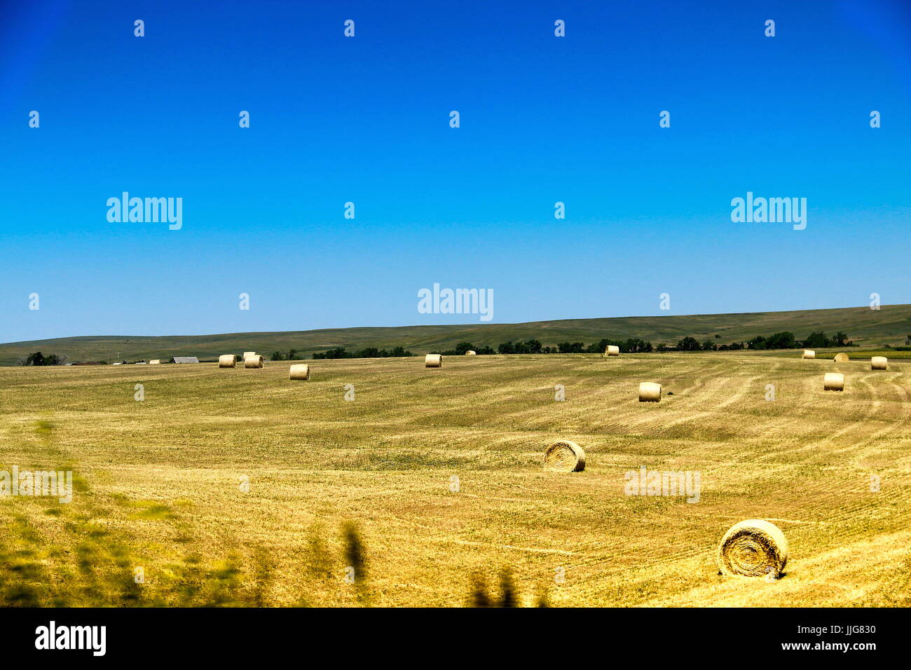 Nebraska corn field hi-res stock photography and images - Alamy