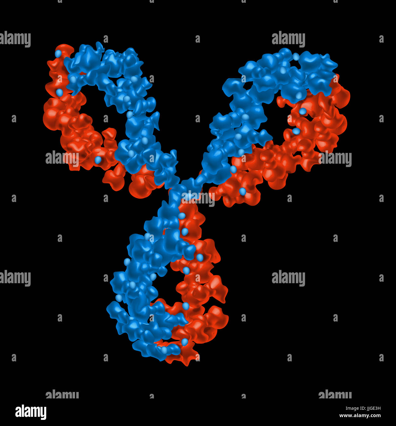Antibody molecule hi-res stock photography and images - Alamy