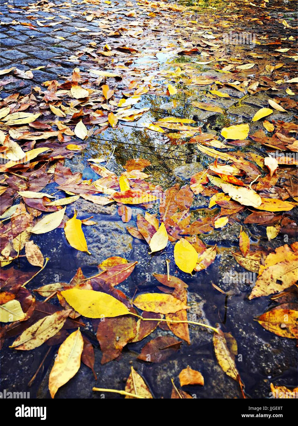 Wet Cobbled Street Stock Photos & Wet Cobbled Street Stock Images - Alamy