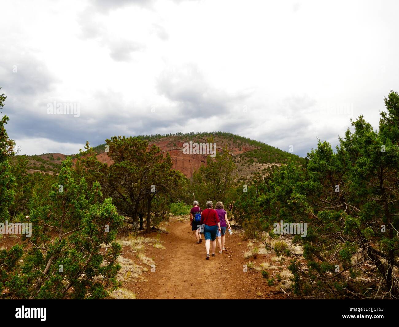 Coconino National Forest Hiking Trails