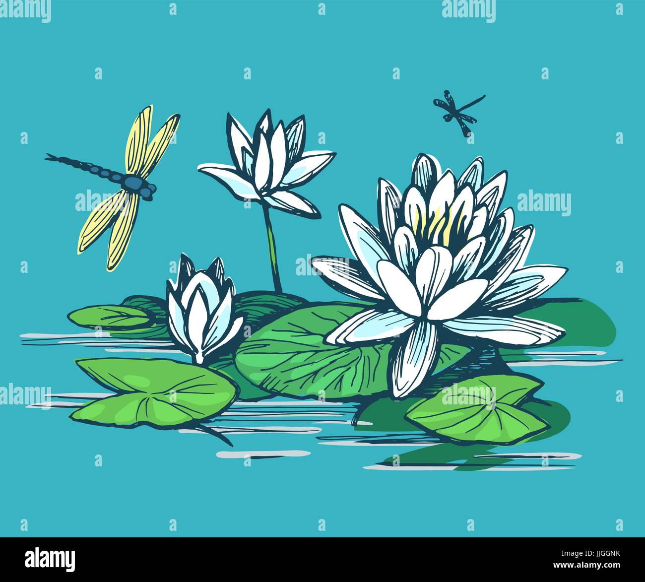 Water lily water lilies Stock Vector Images - Alamy