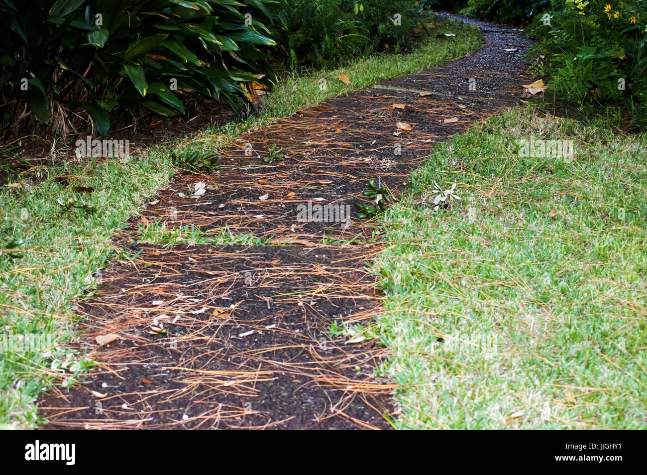 A curvy brown sidewalk leading back into some bushes Stock Photo - Alamy