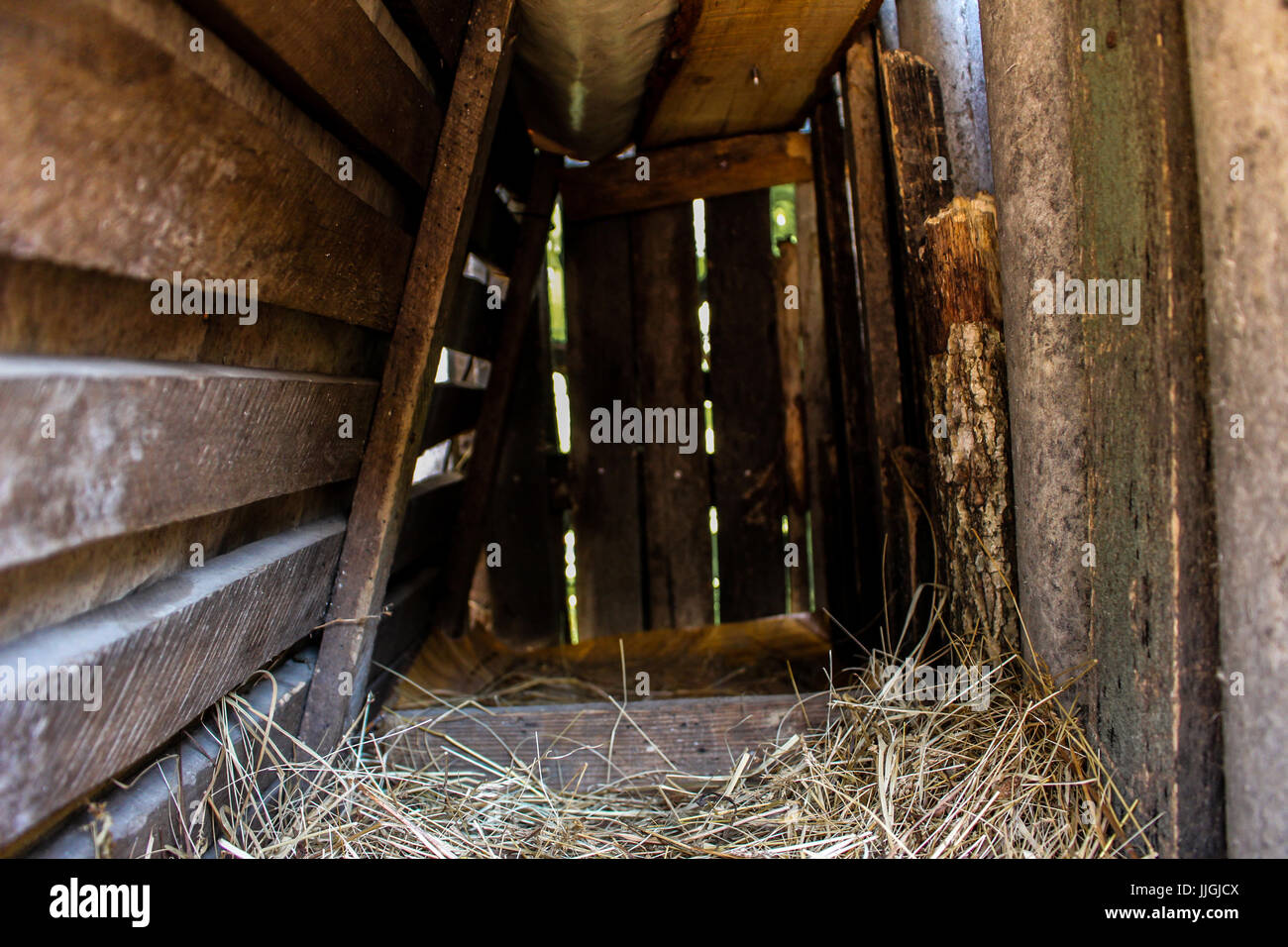 A chicken shed interior rural Stock Photo - Alamy