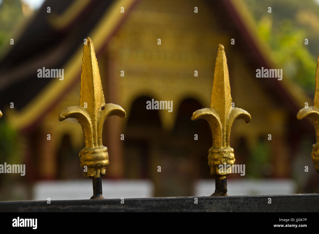 Gold and black wrought iron gate Stock Photo - Alamy