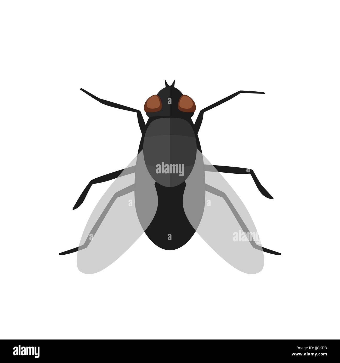 Fly icon in flat style Stock Vector Image & Art - Alamy