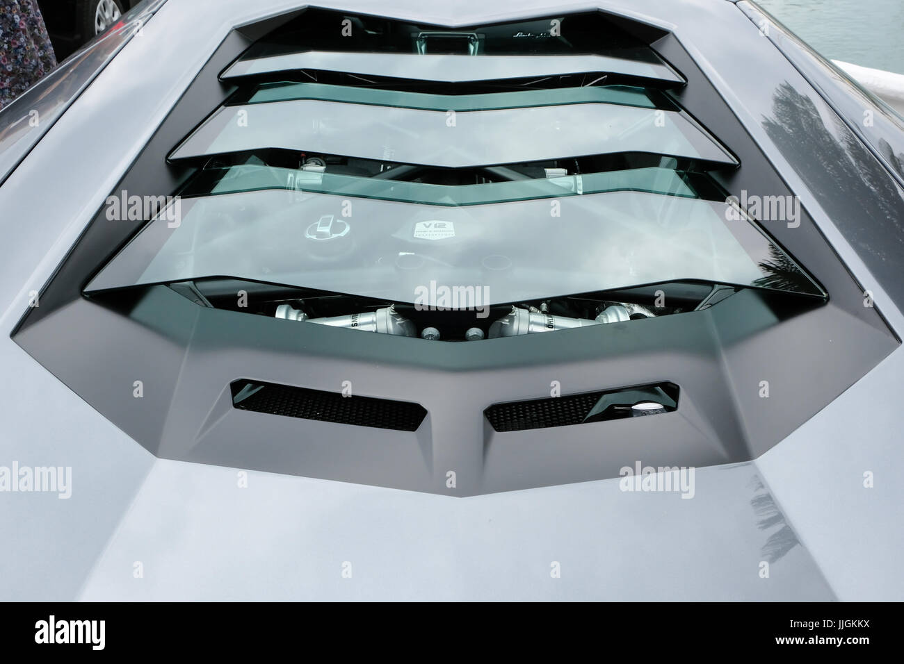 Lamborghini Veneno Engine Bay