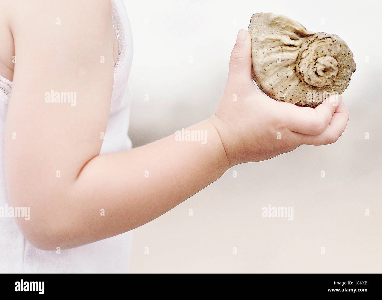 Close up hand holding conch shell hi-res stock photography and images ...
