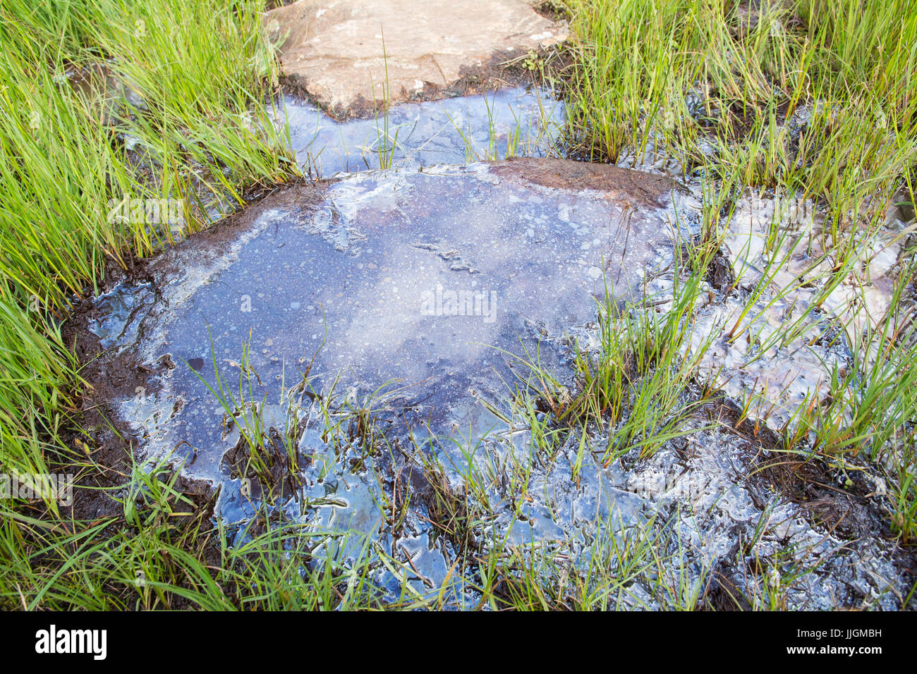 iron hydroxide bog iron oil floating on top of wet ground in Loch ...