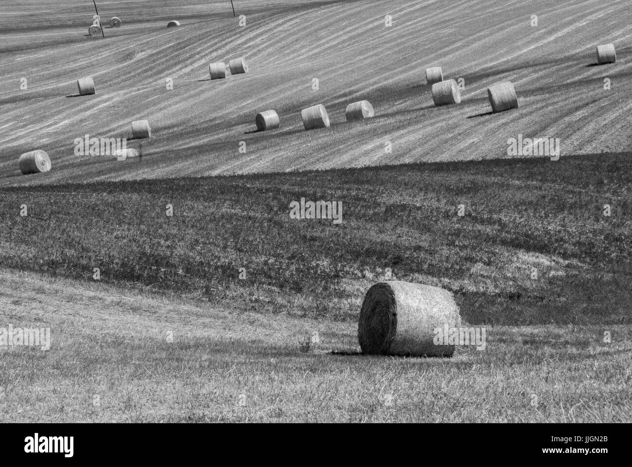 Landscape hills valley in Black and White Stock Photos & Images - Alamy