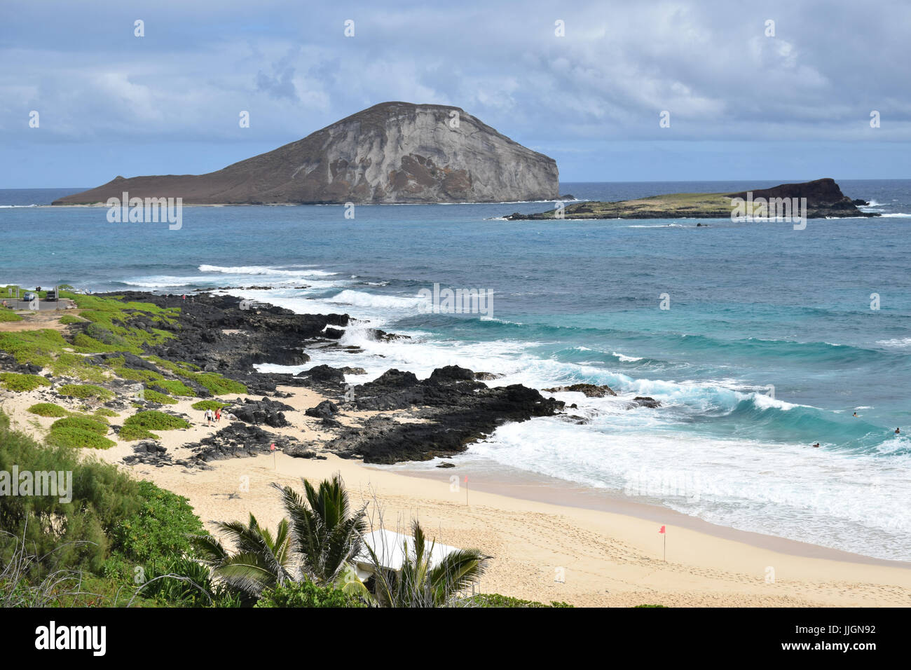 Fish bone image at the beach Stock Photo - Alamy