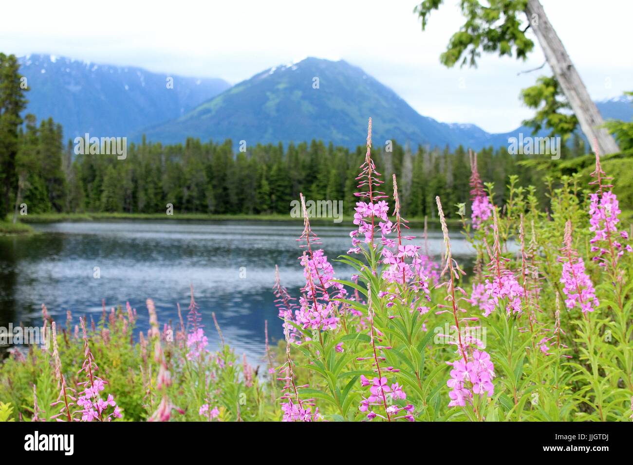 True beauty hi-res stock photography and images - Alamy