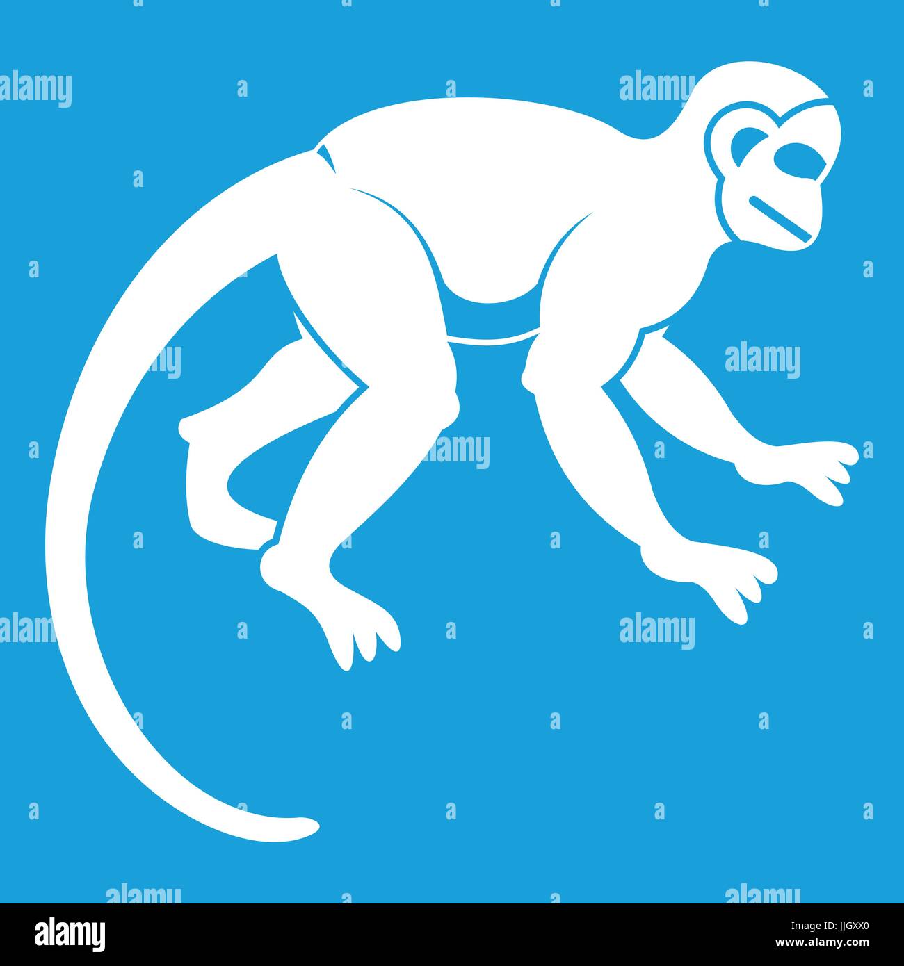 Friendly capuchin hi-res stock photography and images - Alamy