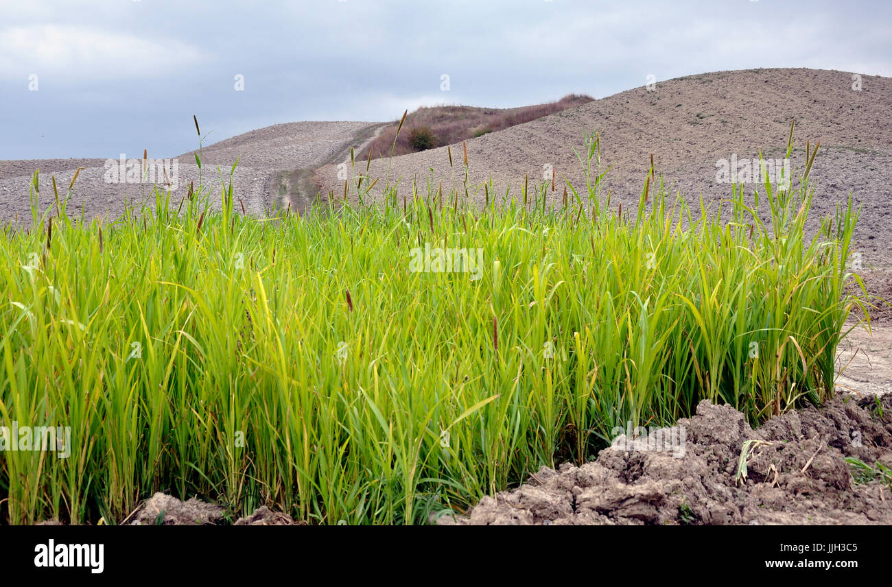 Barren hills hi-res stock photography and images - Alamy