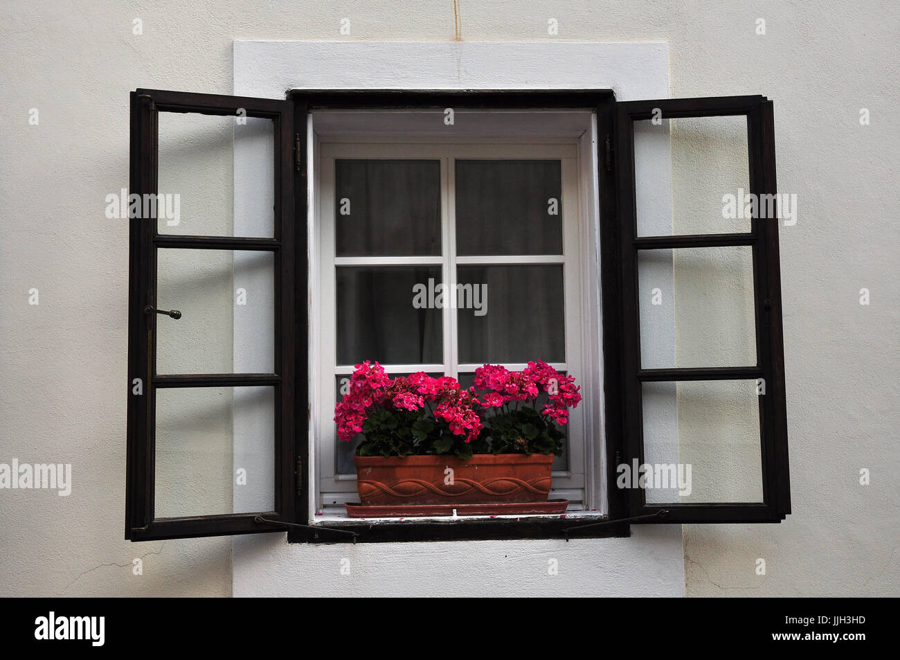 Purple flowers on the old European window Stock Photo - Alamy