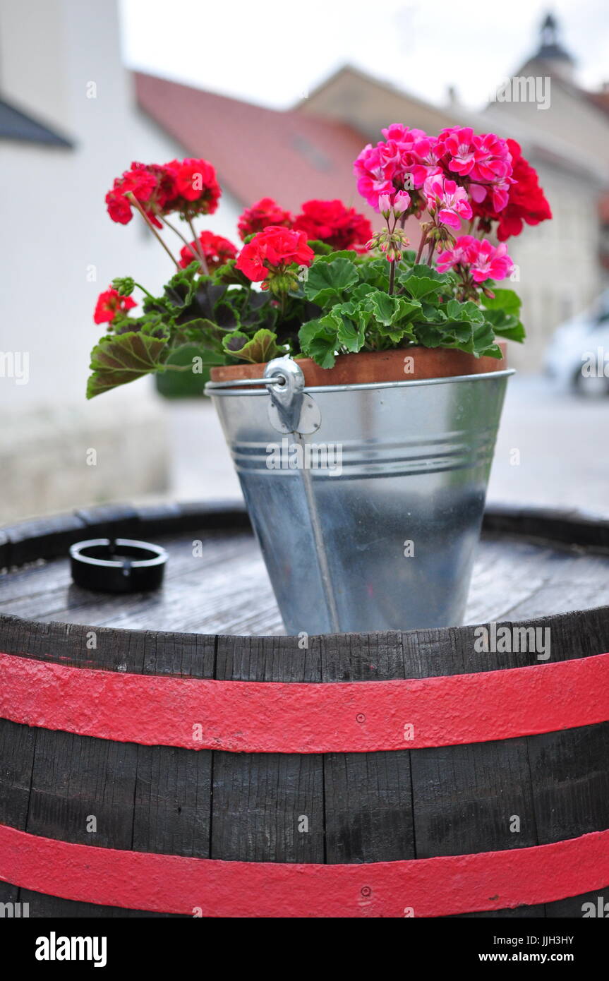 Pink red flowers in tin pot on a barrel Stock Photo - Alamy