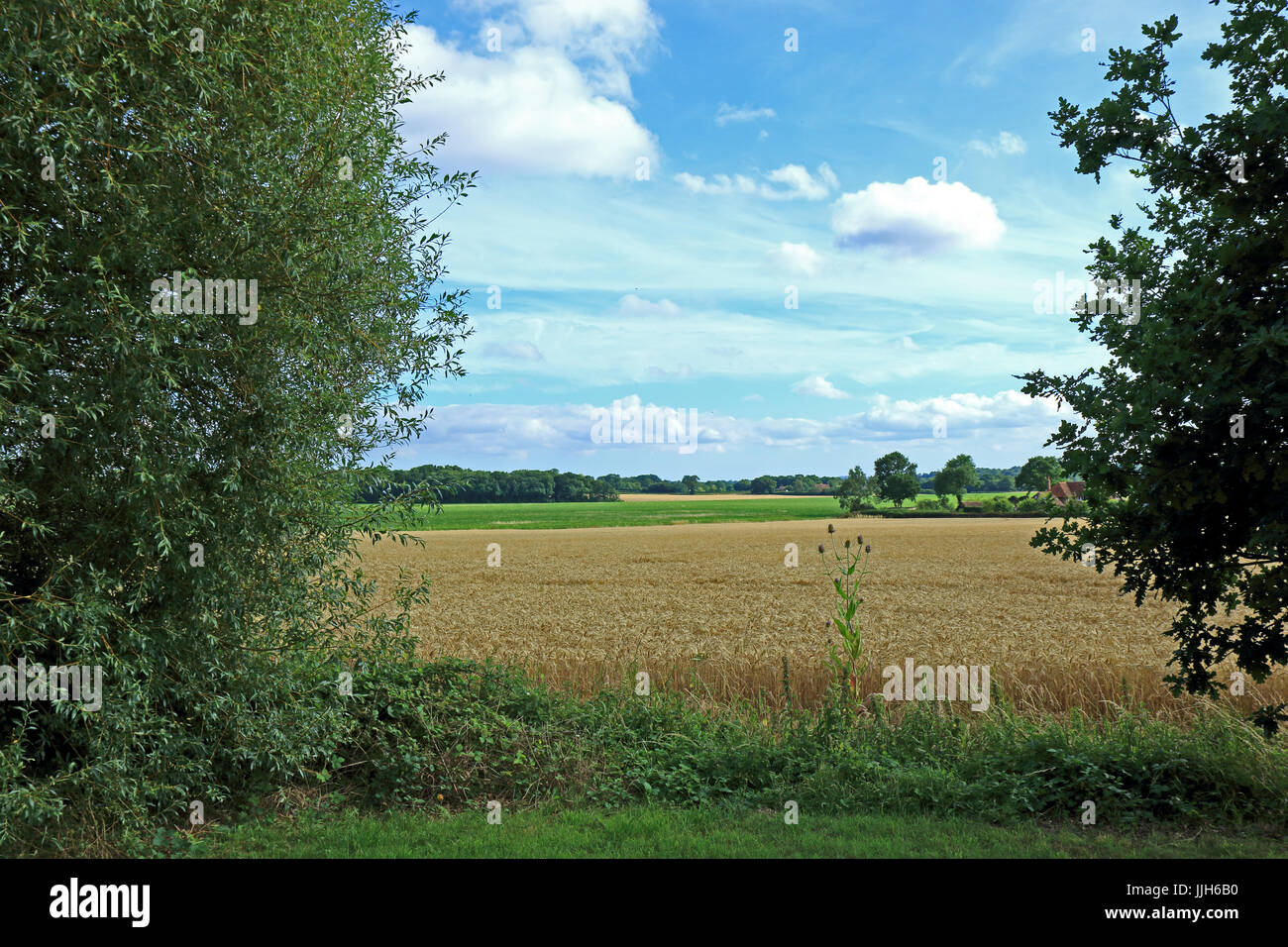 Pluckley, kent hi-res stock photography and images - Alamy