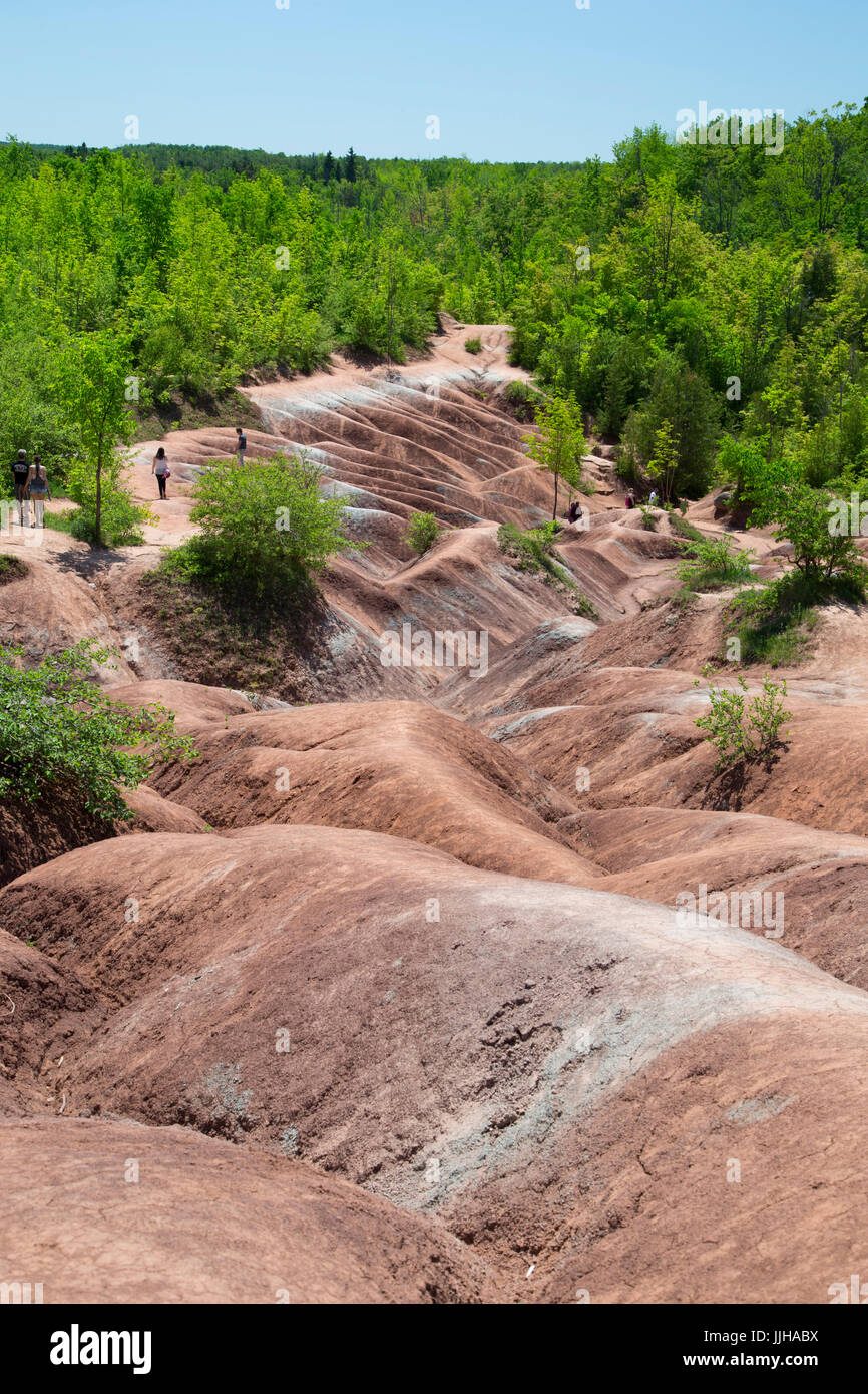 Cheltenham Badlands of Ontario Stock Photo - Alamy