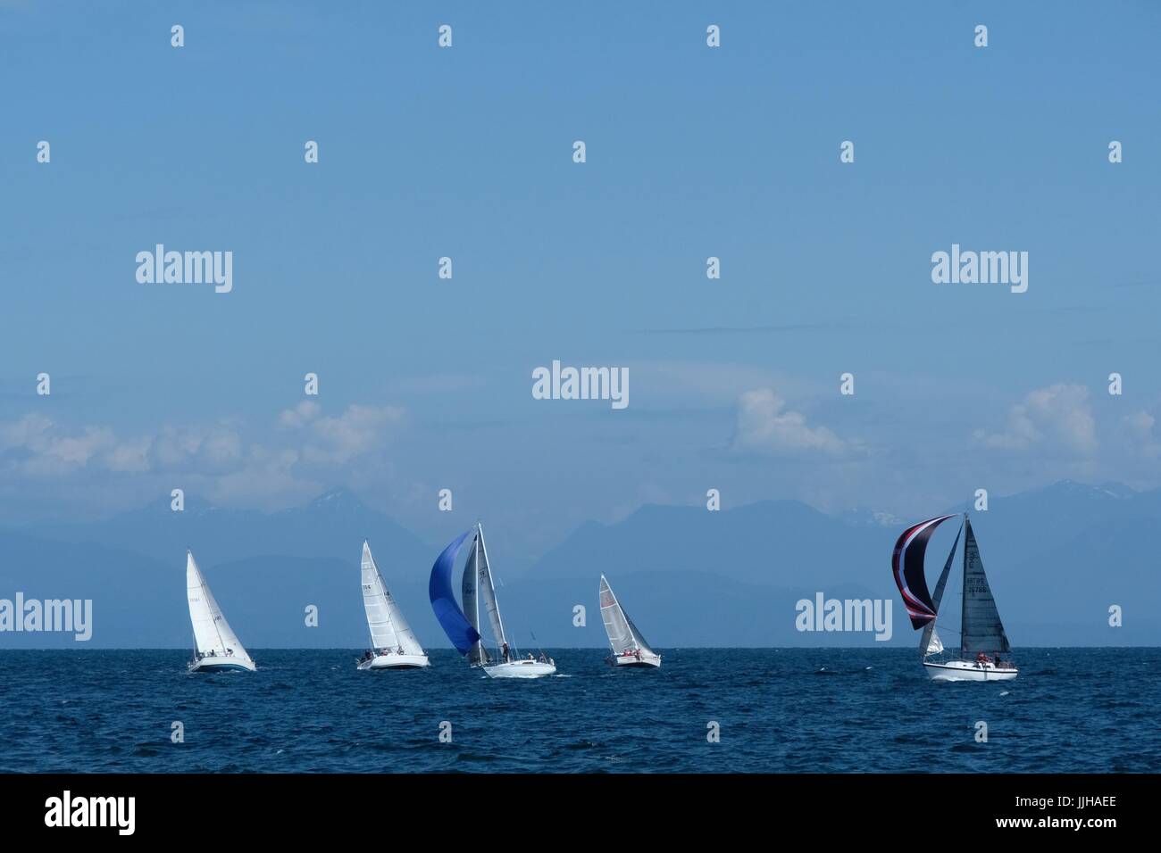 Sailboats racing on Pacific coast Stock Photo - Alamy