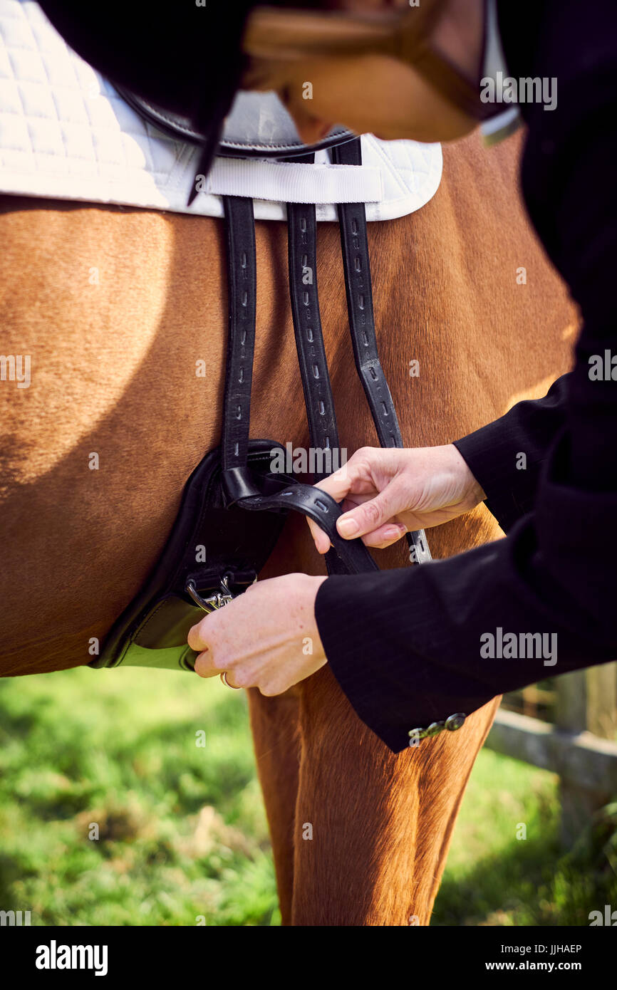 A young woman tacking up her horse prior to a ride Stock Photo - Alamy