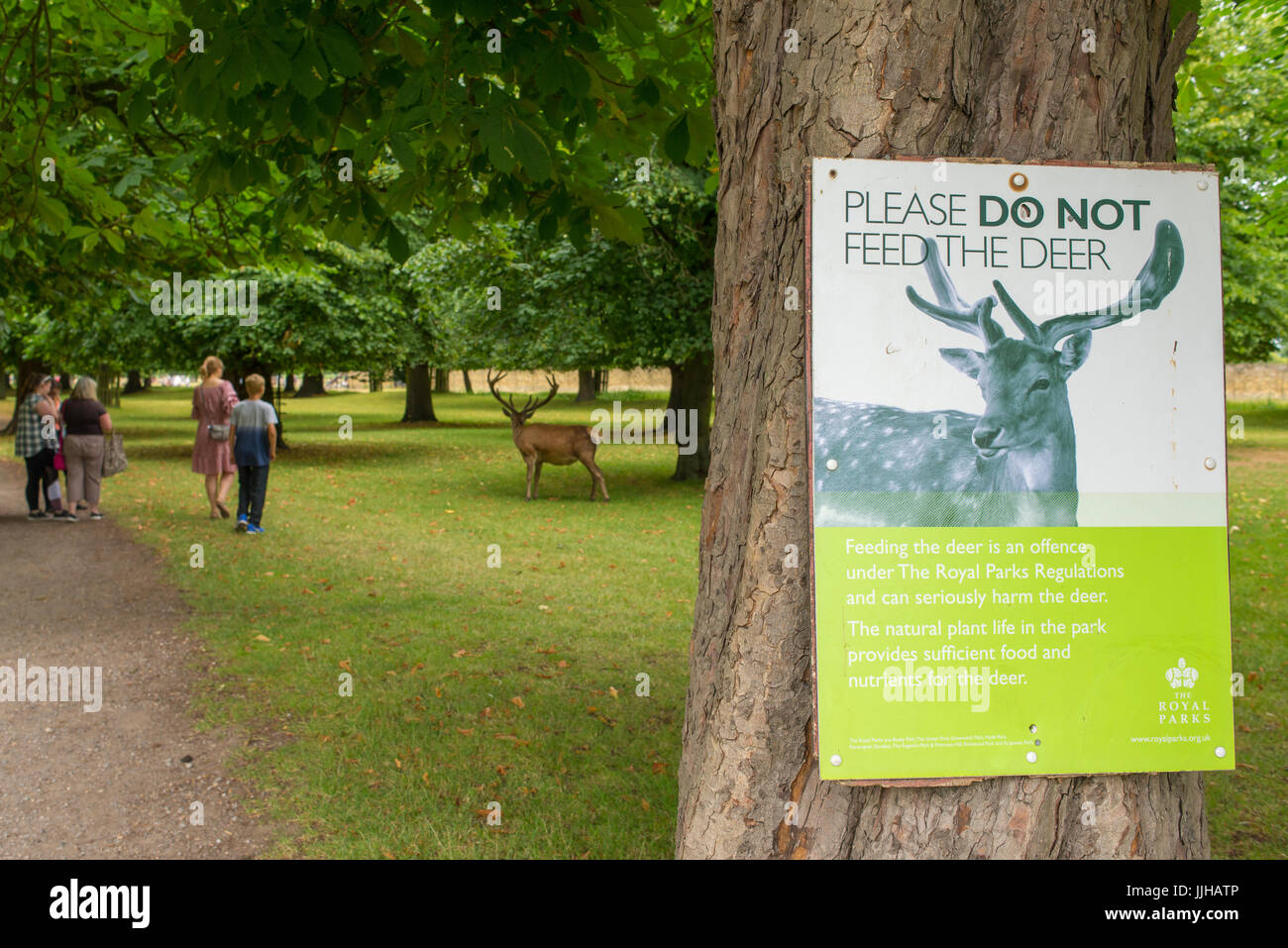 Bushy park london sign hi-res stock photography and images - Alamy