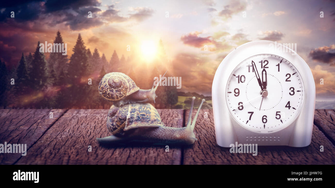 Screen noise forest hi-res stock photography and images - Alamy