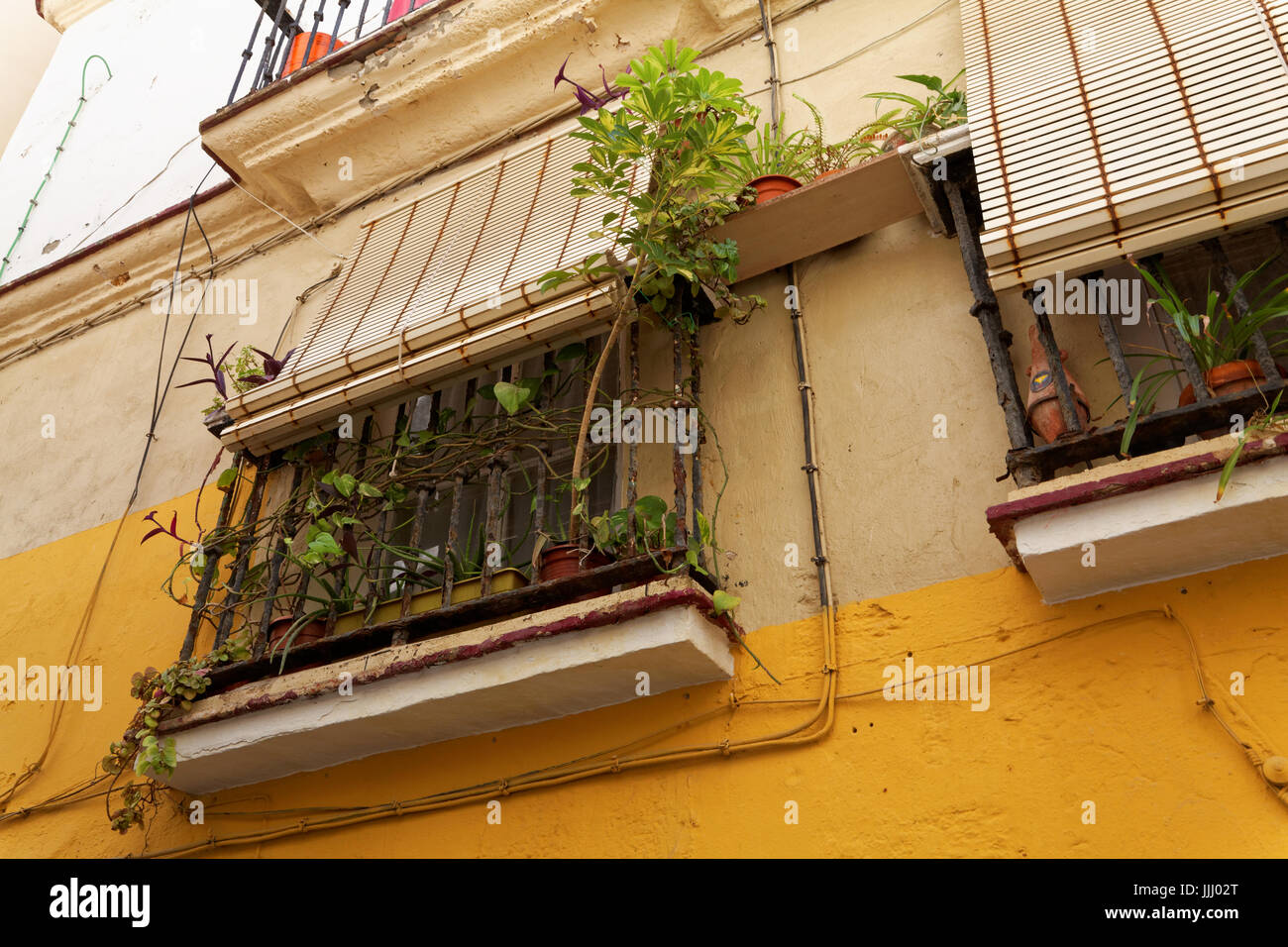 window boxes, Cadiz, Spain Stock Photo - Alamy