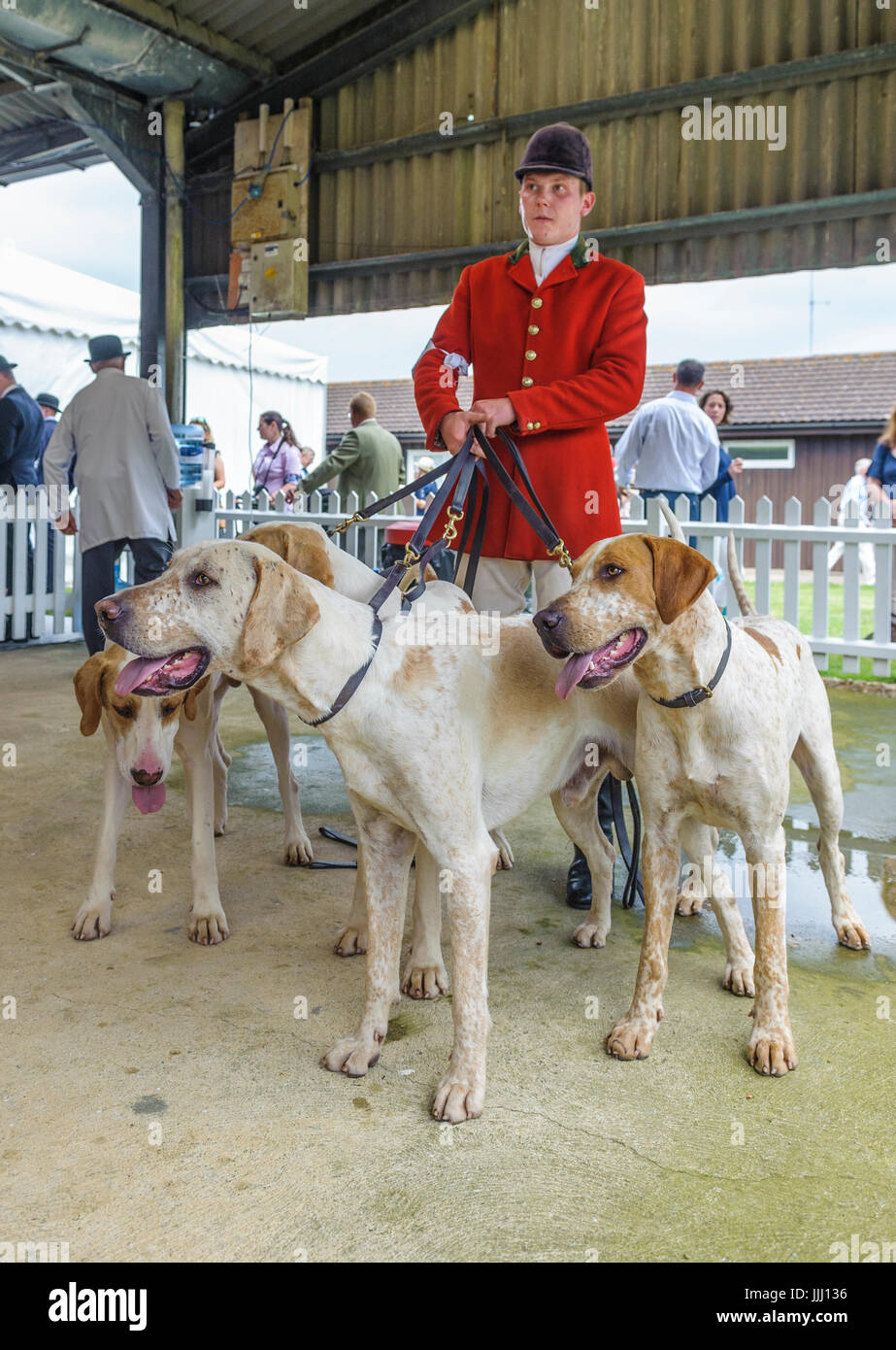 Huntsman stand hi-res stock photography and images - Alamy