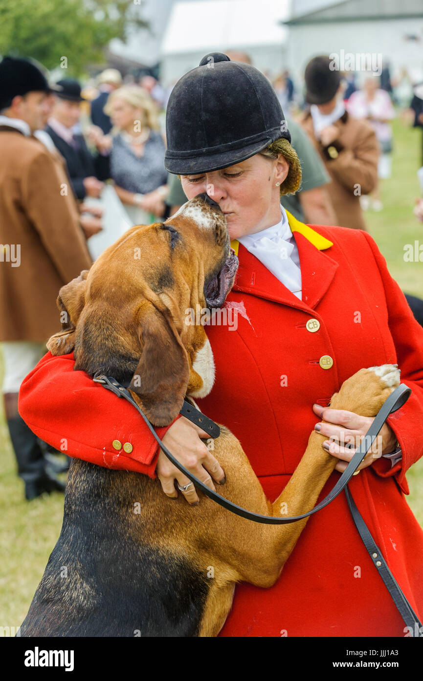 The Whipper In from The Cranwell Bloodhounds with her bloodhound being ...