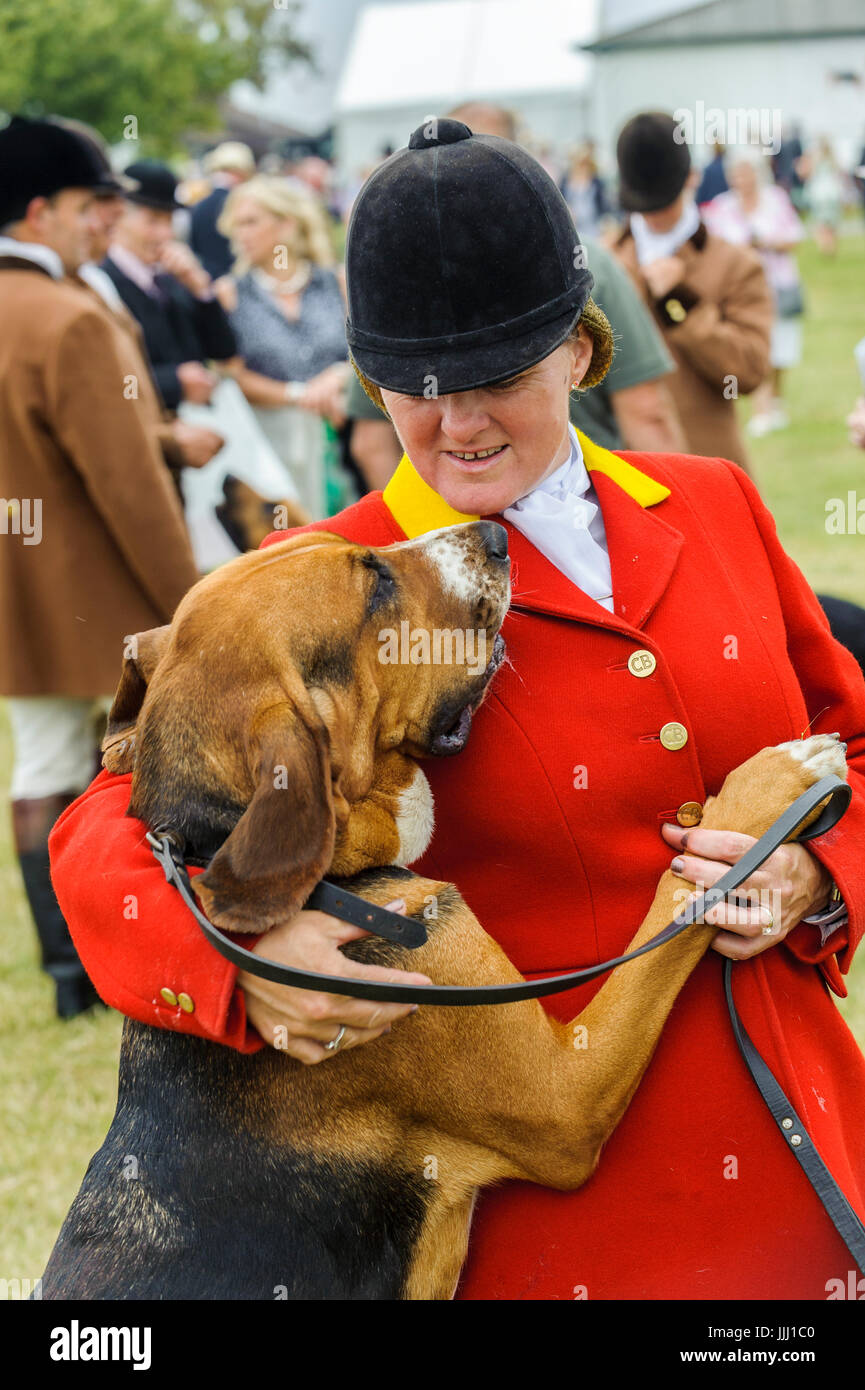 The Whipper In from The Cranwell Bloodhounds with her bloodhound at The ...