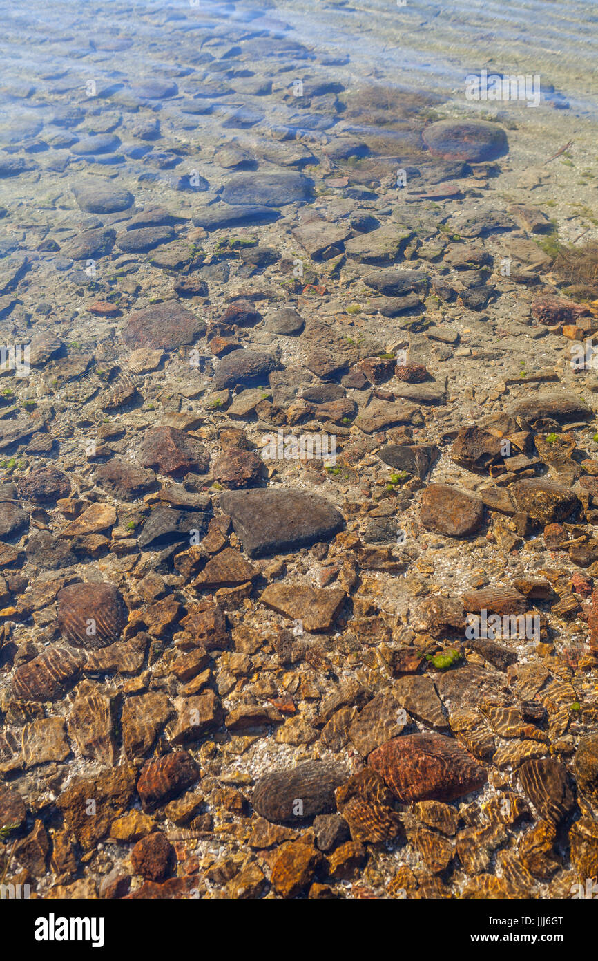 Colorful orange stones under sea water Stock Photo - Alamy