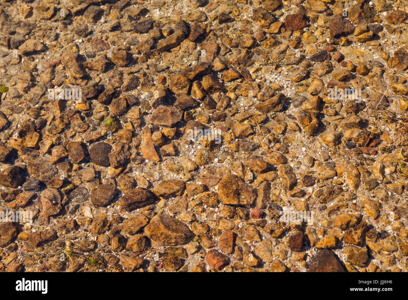 Colorful orange stones under sea water Stock Photo - Alamy