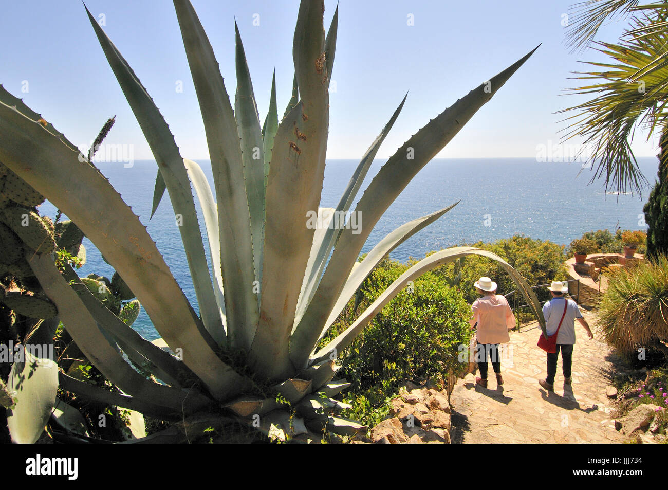 Marimurtra botanical garden hi-res stock photography and images - Alamy