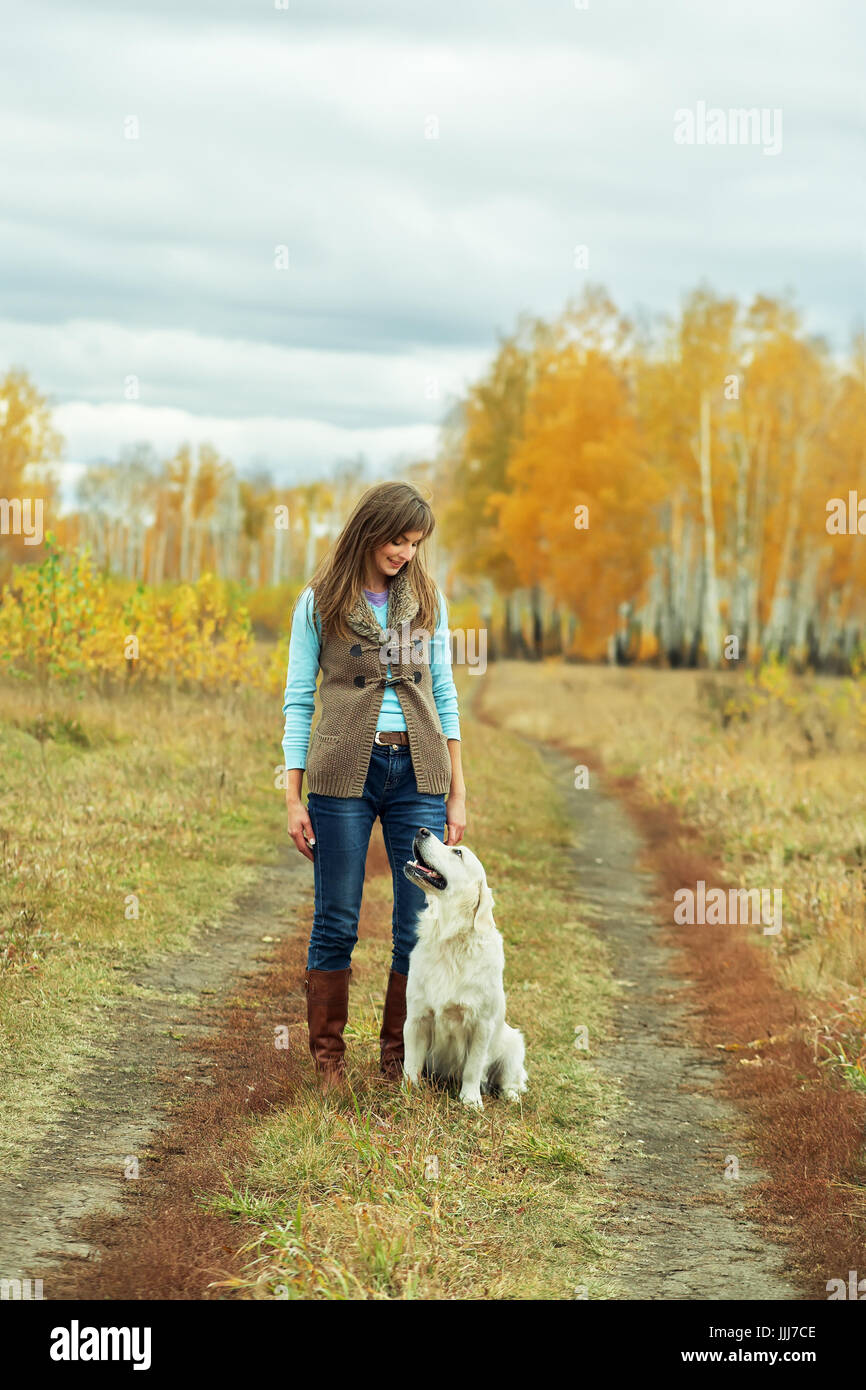 Young golden retriever for a walk with his owner. Dog breed labrador ...