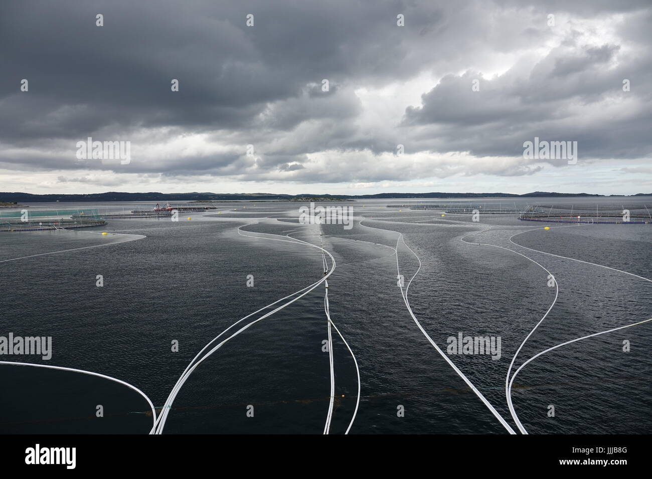Hitra, Norway. 14th June, 2017. The salmon farm of Norwegian producer ...