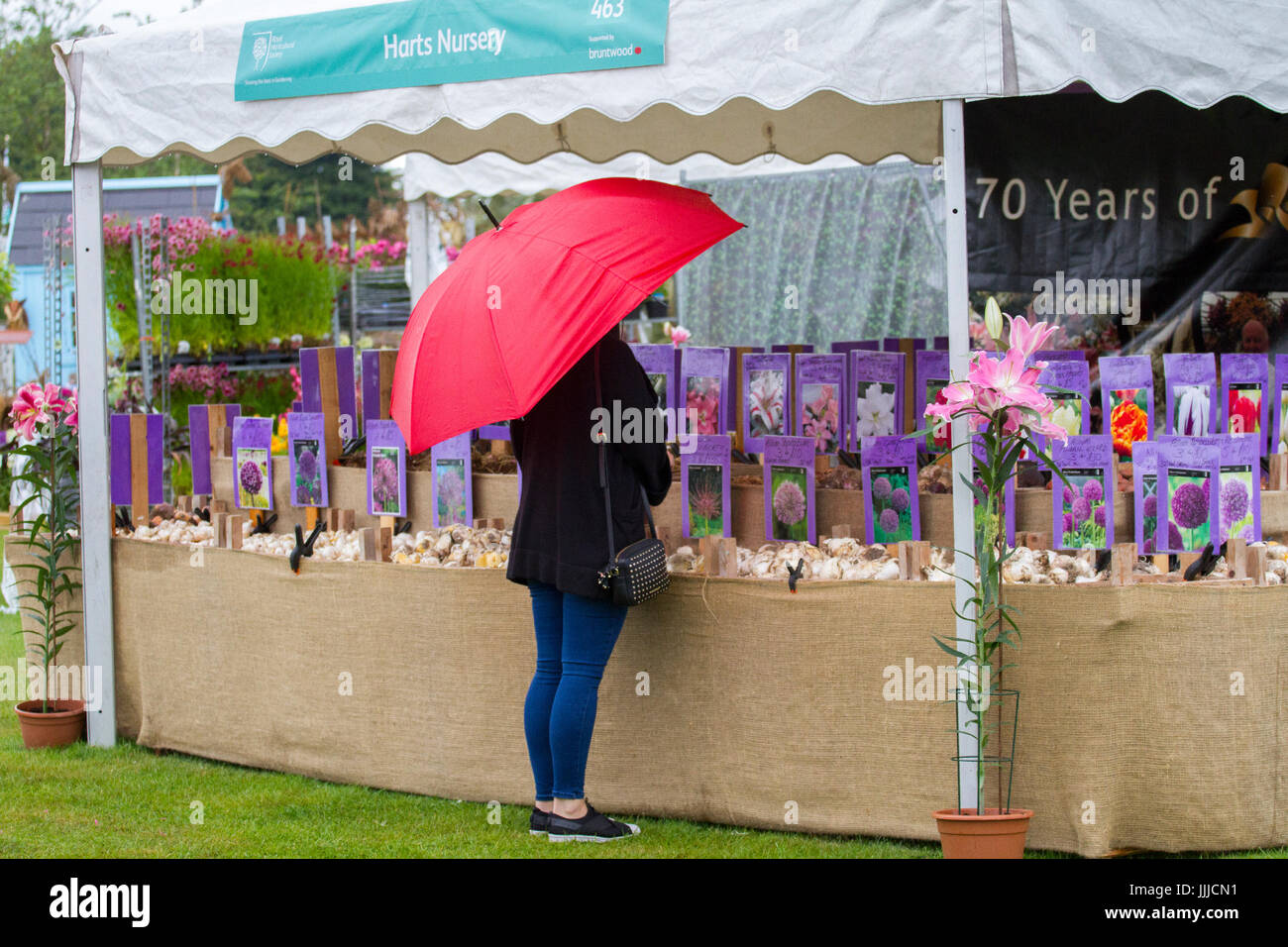 Knutsford, Cheshire. UK Weather. 20th July, 2017. Victoria Hart Heavy ...