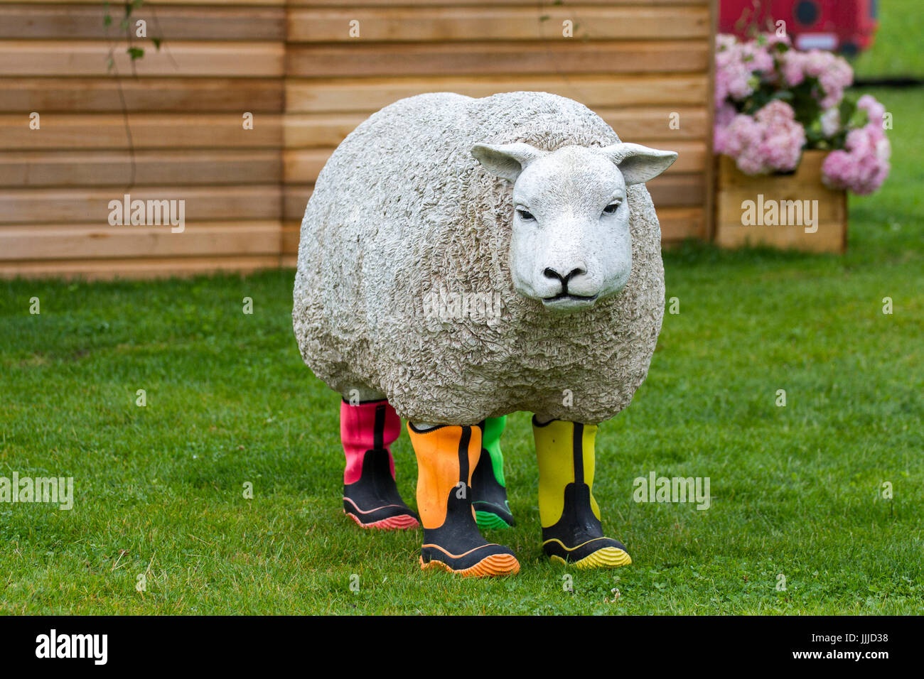 Sheep in wellies hi-res stock photography and images - Alamy